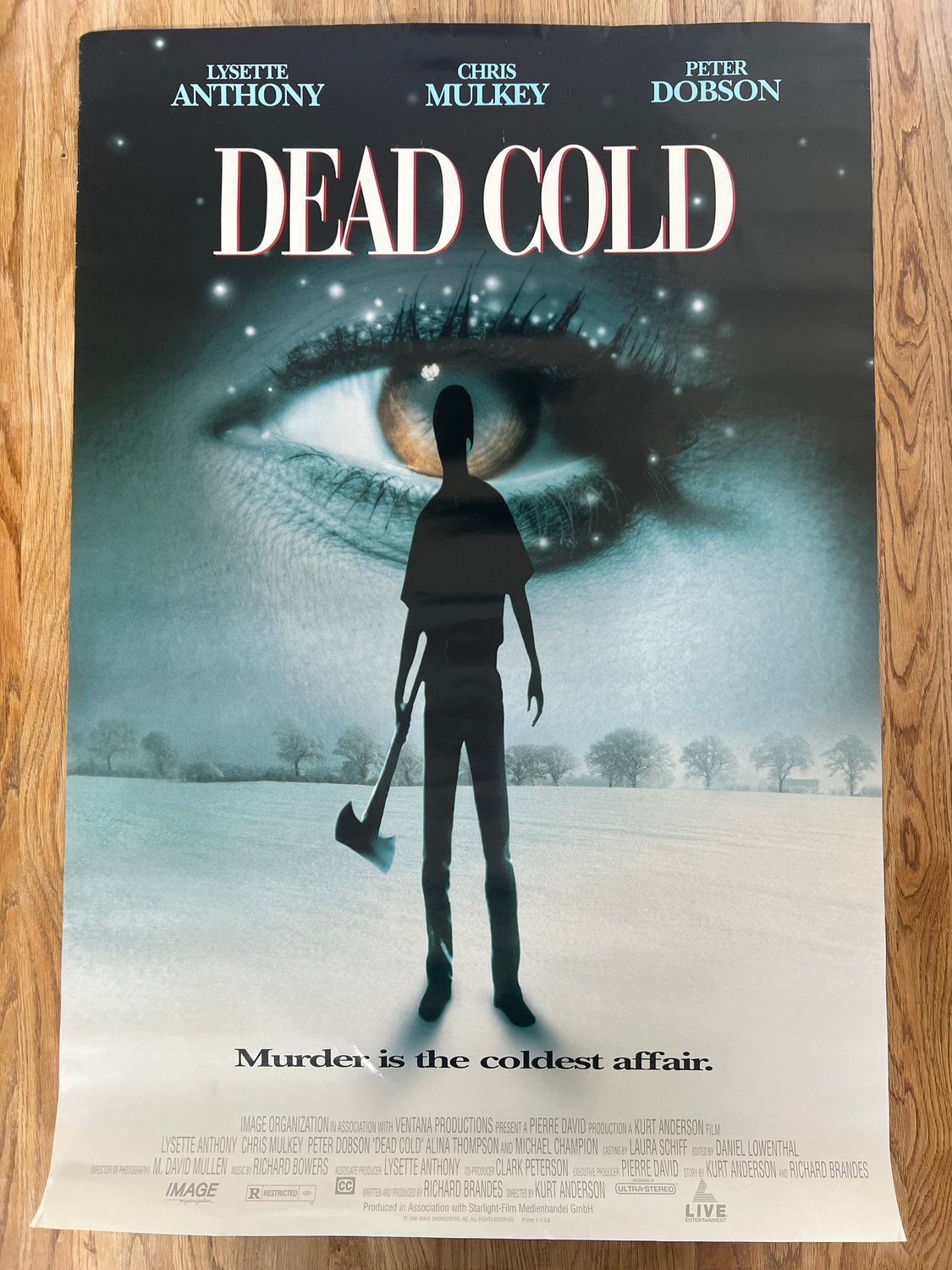 Dead Cold (1995) - Filmposter | Köp från Wiboniverse på Tradera (647199039)