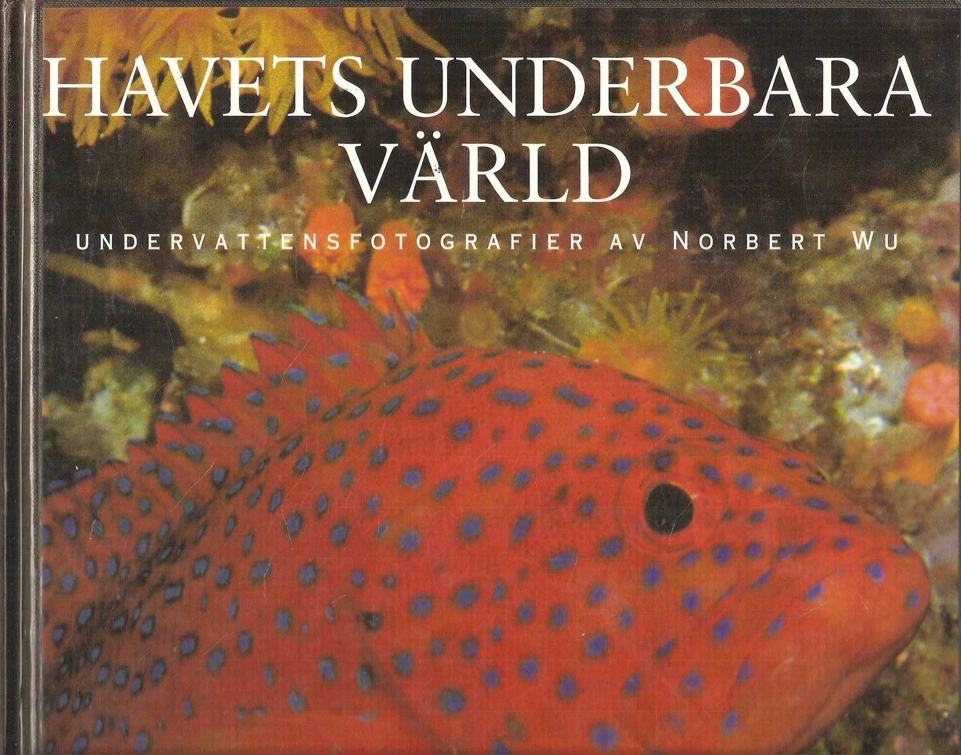 Norbert Wu: Havets underbara värld. Undervatten.. | Köp på Tradera ...