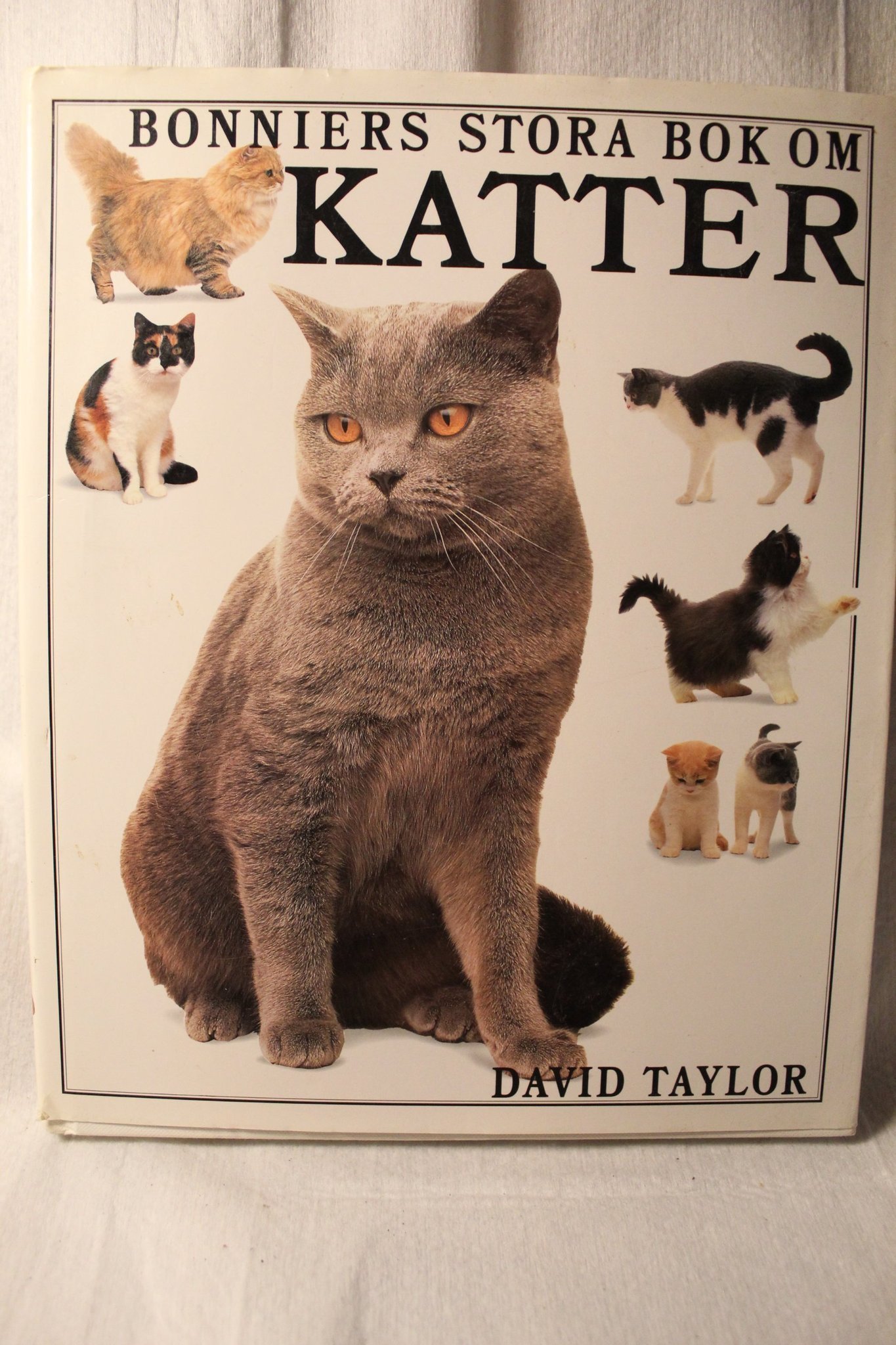Se produkter som liknar David Taylor - Bonniers Stora.. på Tradera ... Se produkter som liknar David Taylor - Bonniers Stora.. på Tradera ...