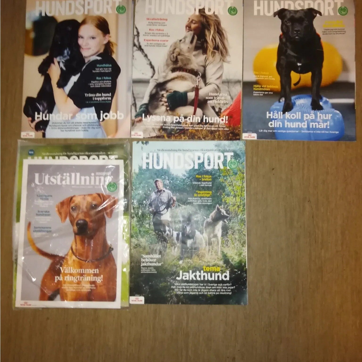 5 Hundsport tdningar som syns på bild (Samlarob.. | Köp på Tradera (664679823)