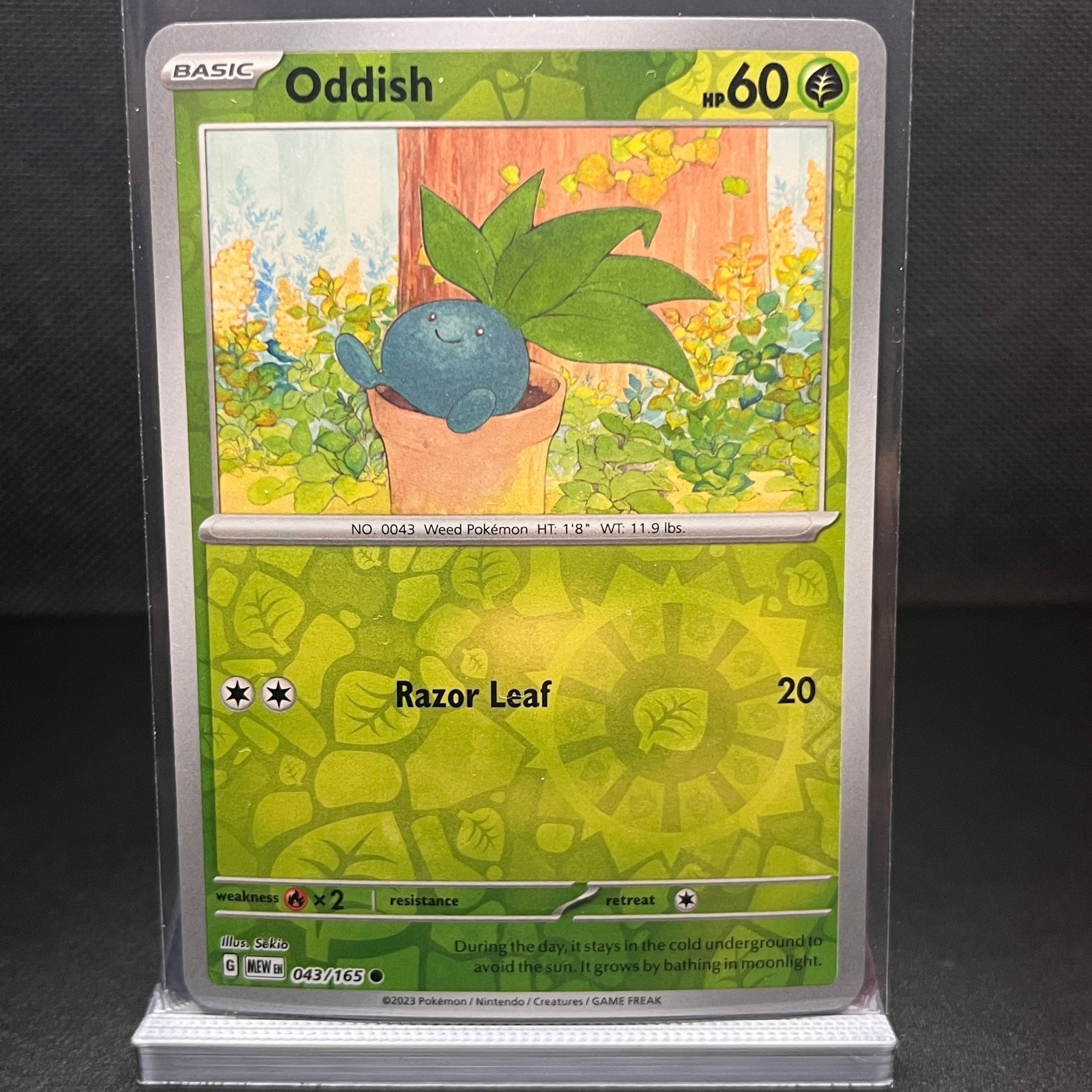 Se produkter som liknar Oddish 043/165 Reverse Holo -.. på Tradera (695723942)