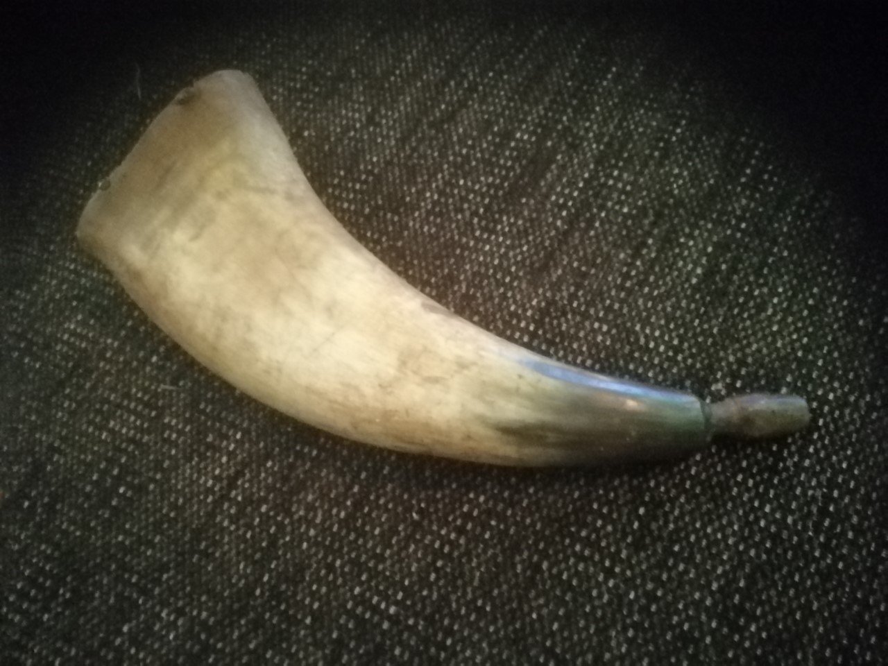 gammalt kruthorn | Köp på Tradera (629785336)