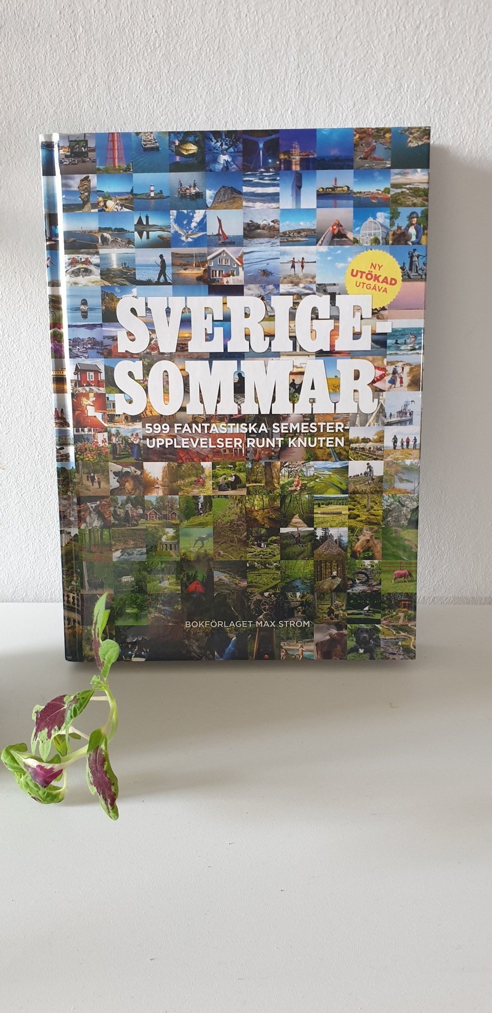Se produkter som liknar Sverige sommar bok av bokförl.. på Tradera ... Se produkter som liknar Sverige sommar bok av bokförl.. på Tradera ...