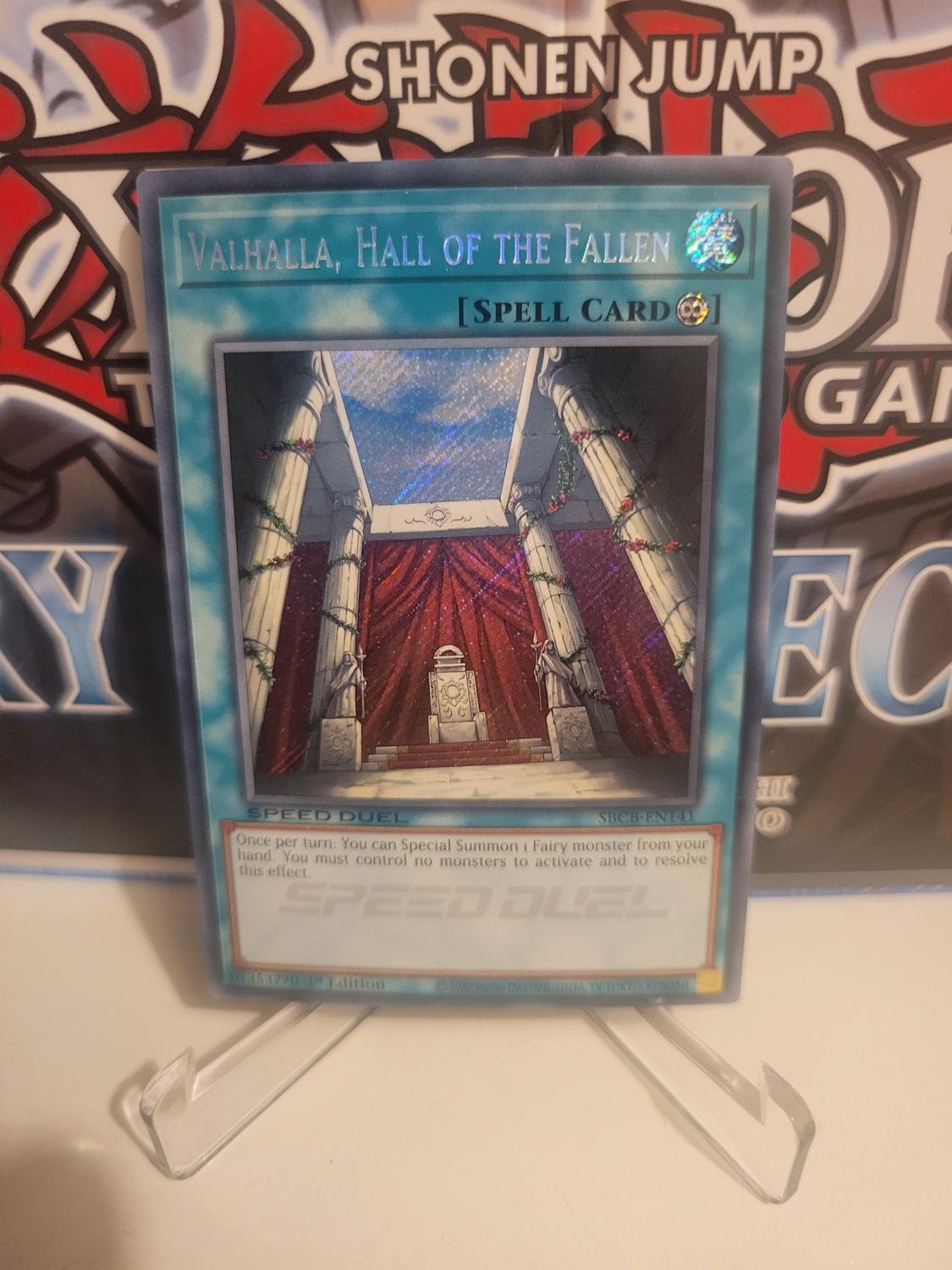 Valhalla Hall Of The Fallen