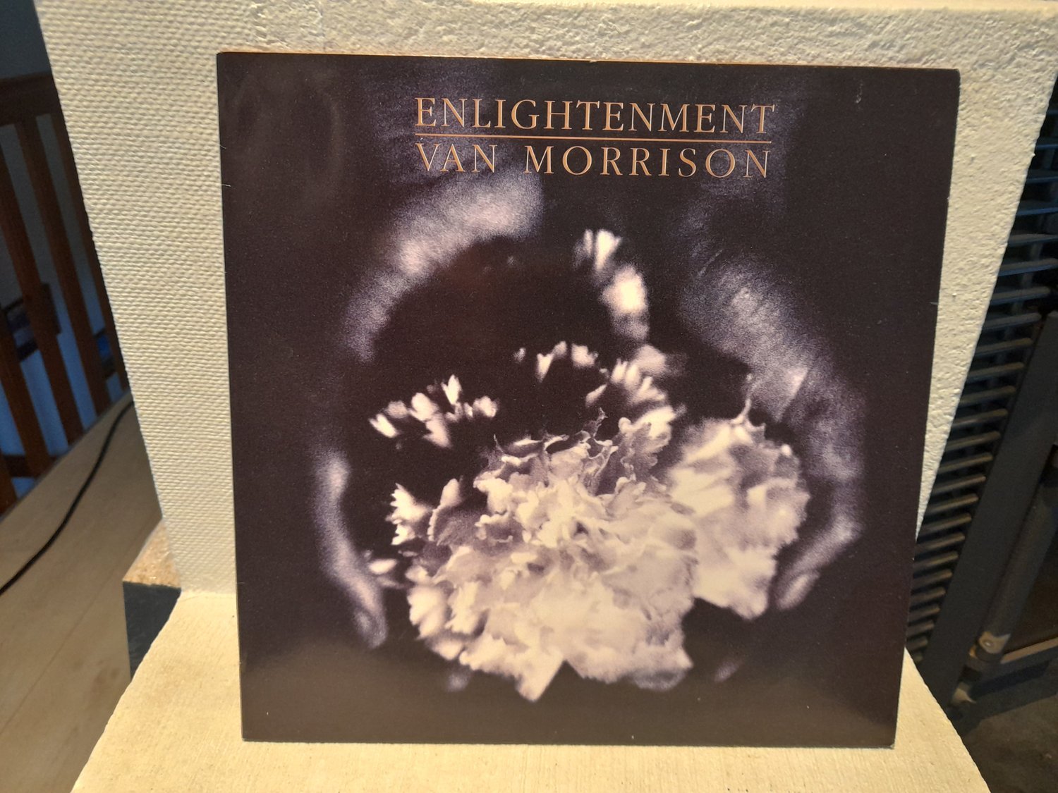 Van Morrison Enlightenment