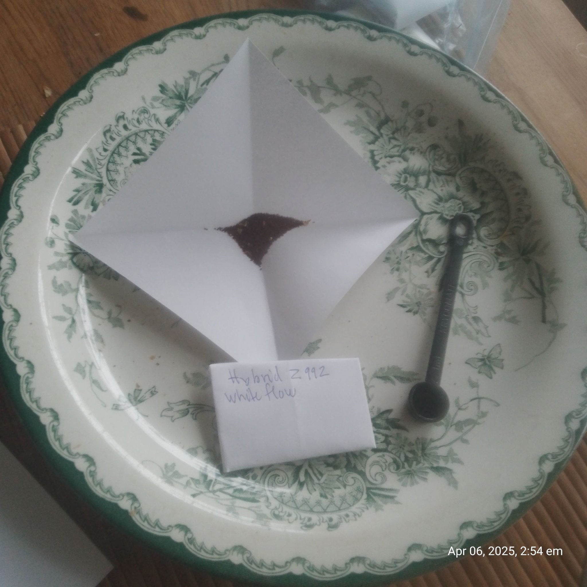 Tobaksfrön Hybrid z992 White +100frön #1 | Köp på Tradera (674442727)