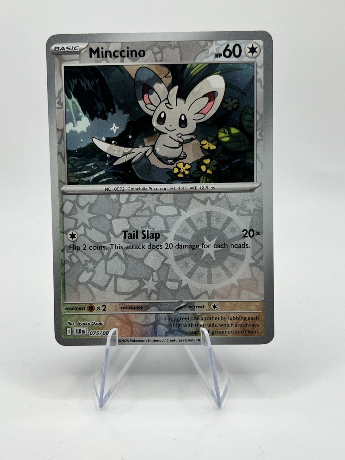 Minccino - 075/086 - Black Bolt - Reverse Holo | Köp på Tradera (699163464)
