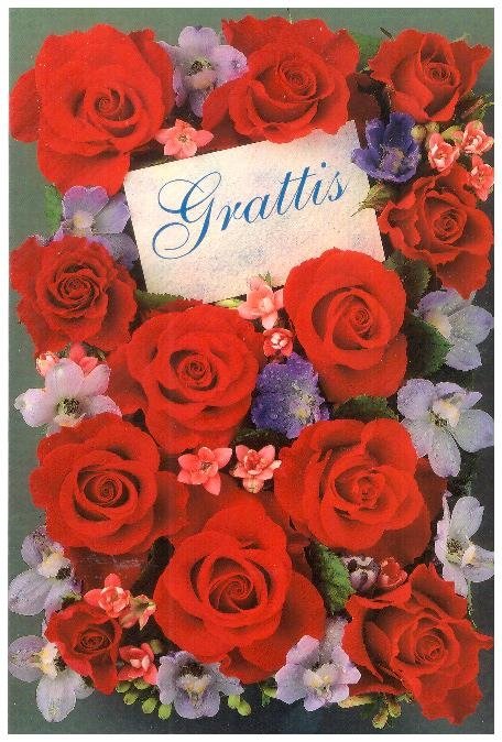 Dubbelt Grattis kort / Grattis på Din dag | Köp på Tradera (683888447)