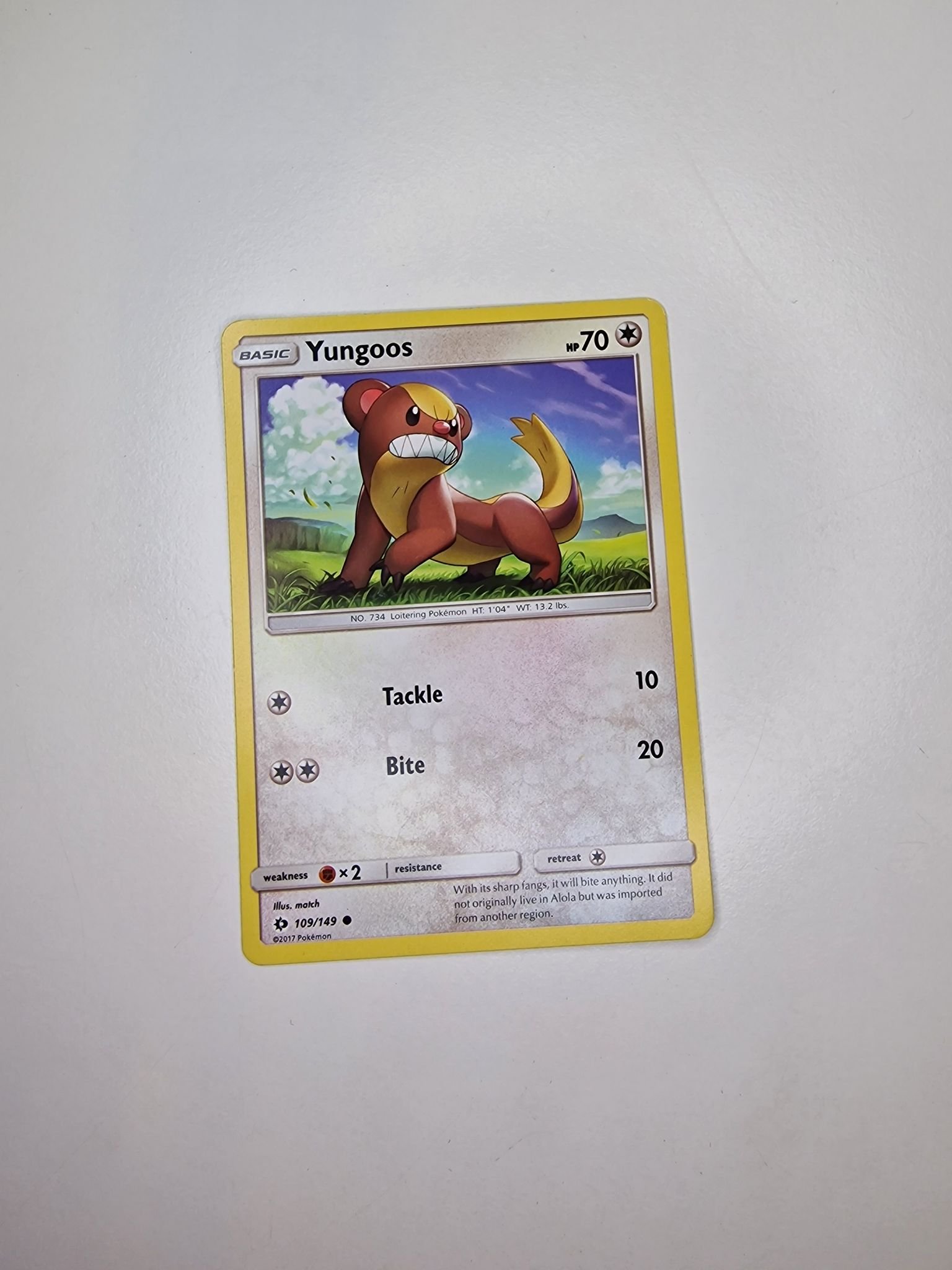 Pokémon Yungoos 109/149 | Köp på Tradera (668660324)