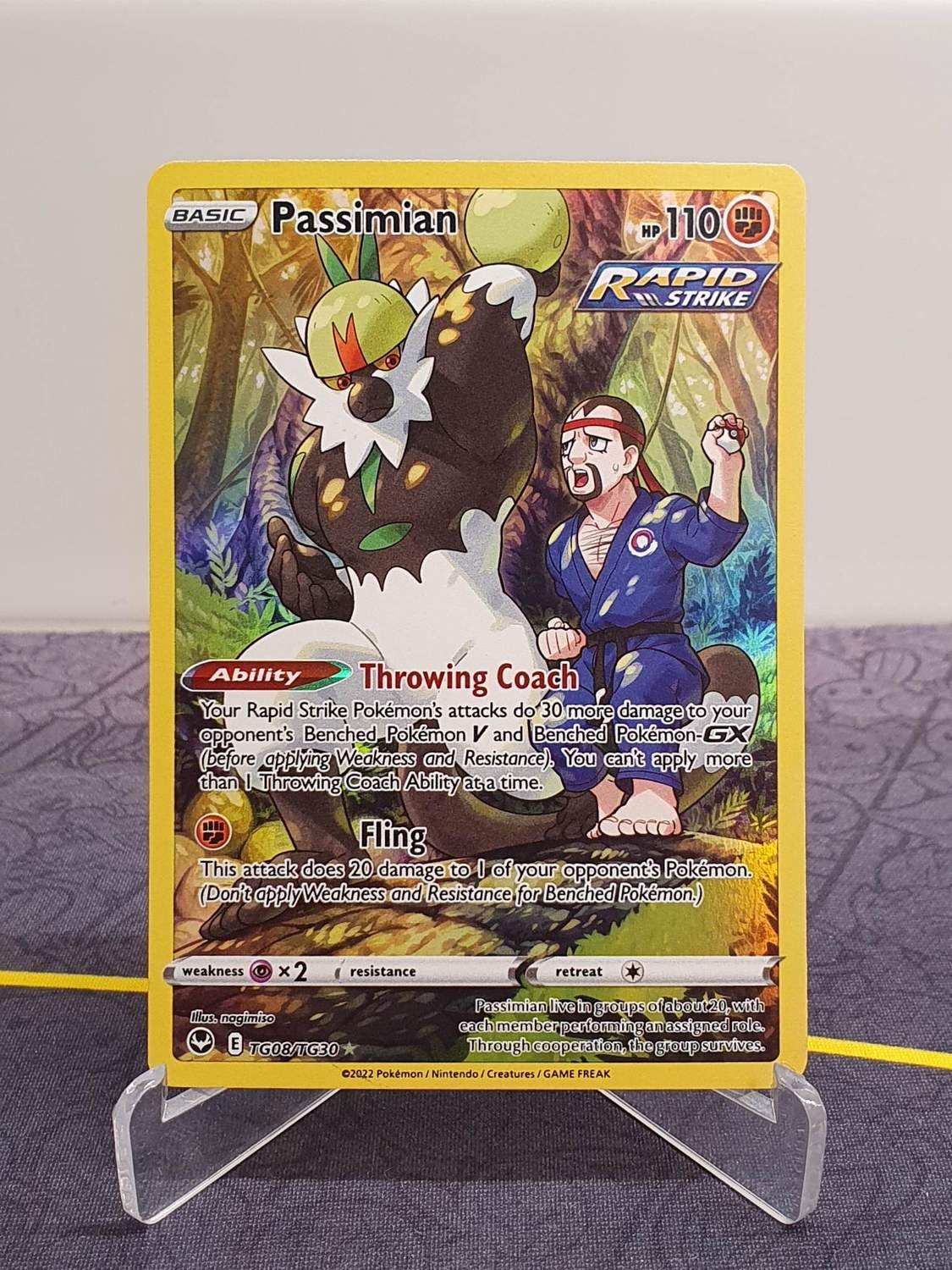 PASSIMIAN TG08/TG30 - Holo Rare Full Art - Silv.. | Köp på Tradera ...