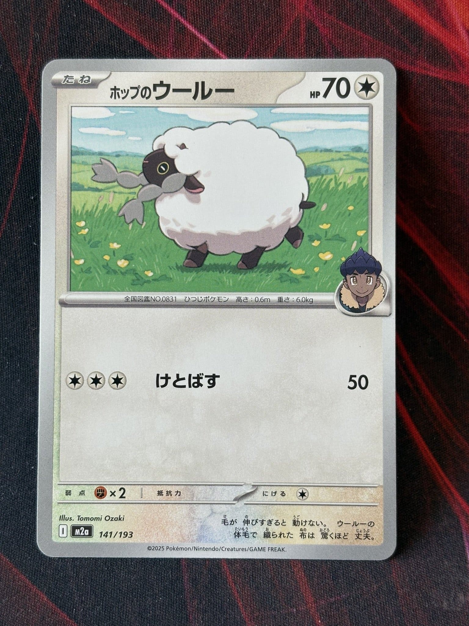 Pokemon - Mega Dream EX Hop's Wooloo 141/193 | Köp på Tradera (715011697)