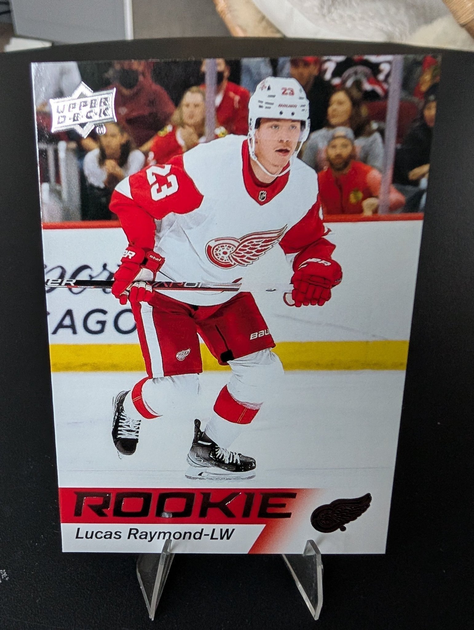 Lucas Raymond - Rookie Card | Köp på Tradera (693587489)