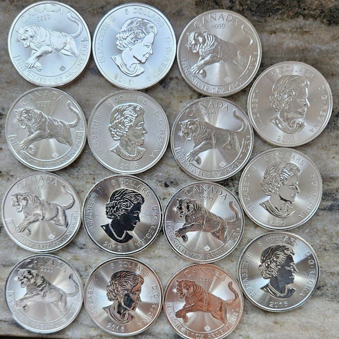 Se produkter som liknar 15 st Kanada 1 oz Silver Mynt.. på Tradera ...