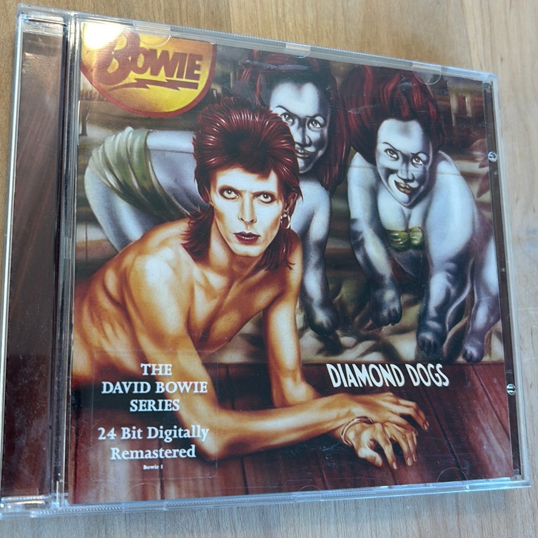 David Bowie - Diamond Dogs - Remastered | Köp på Tradera (696641850)