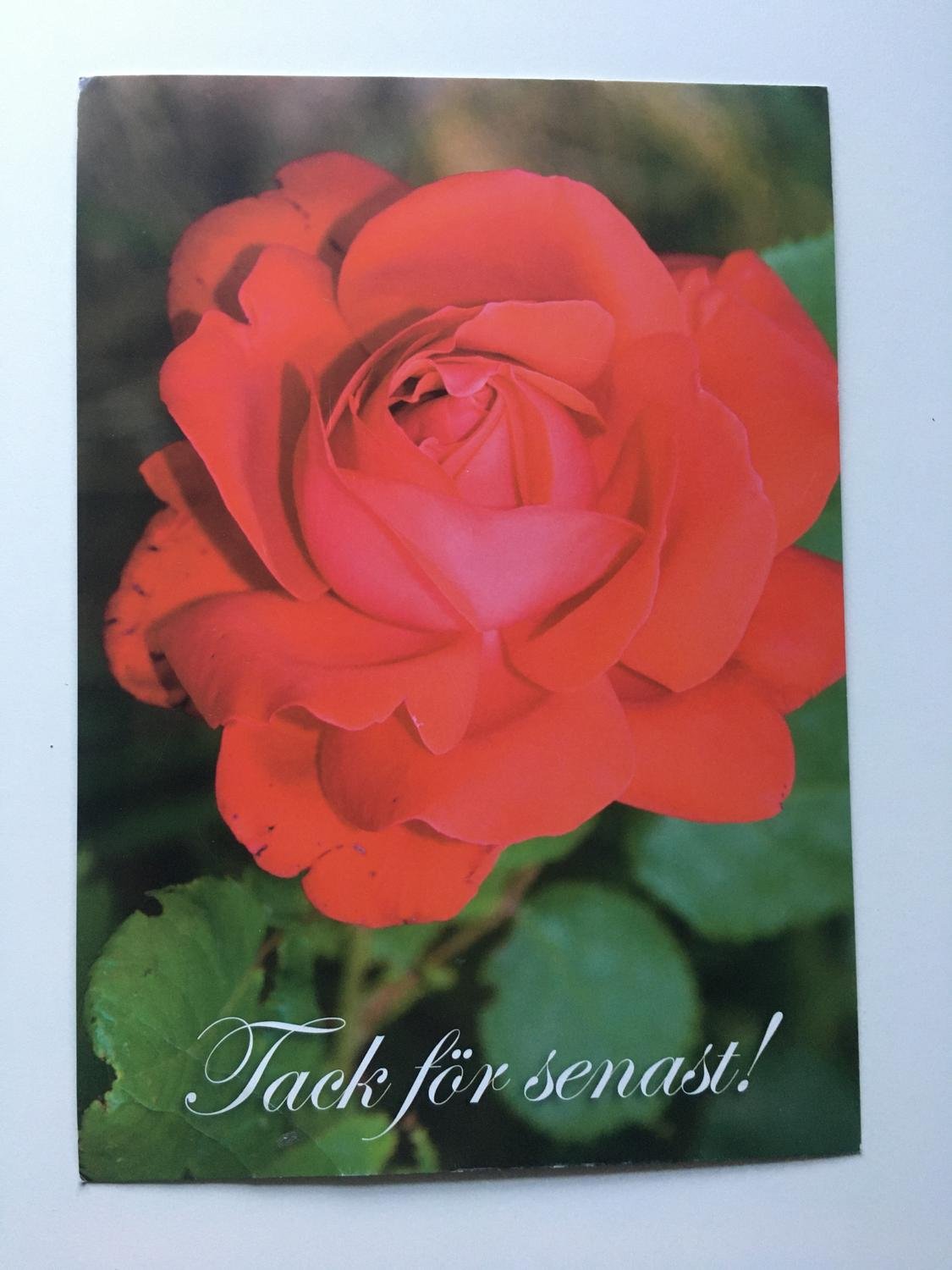 Ett stort vykort - Tack för senast! - blomma/ b.. | Köp på Tradera ...