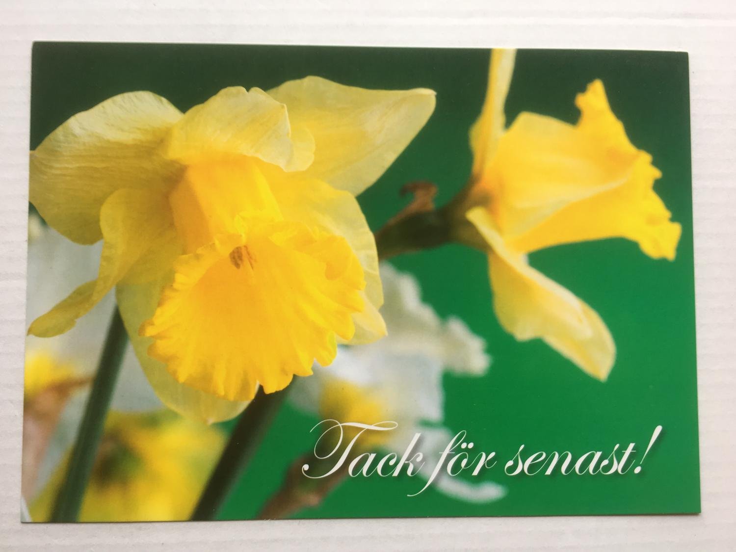Ett stort vykort - Tack för senast! - blomma/ b.. | Köp på Tradera ...