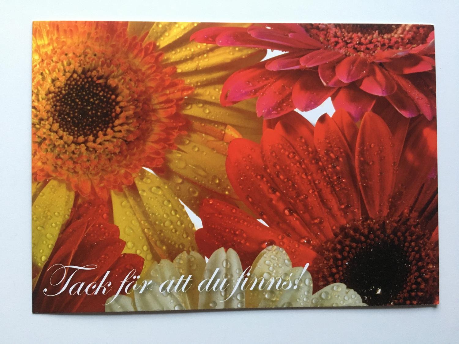 Ett stort vykort - Tack för att du finns! - blomma/ blommor