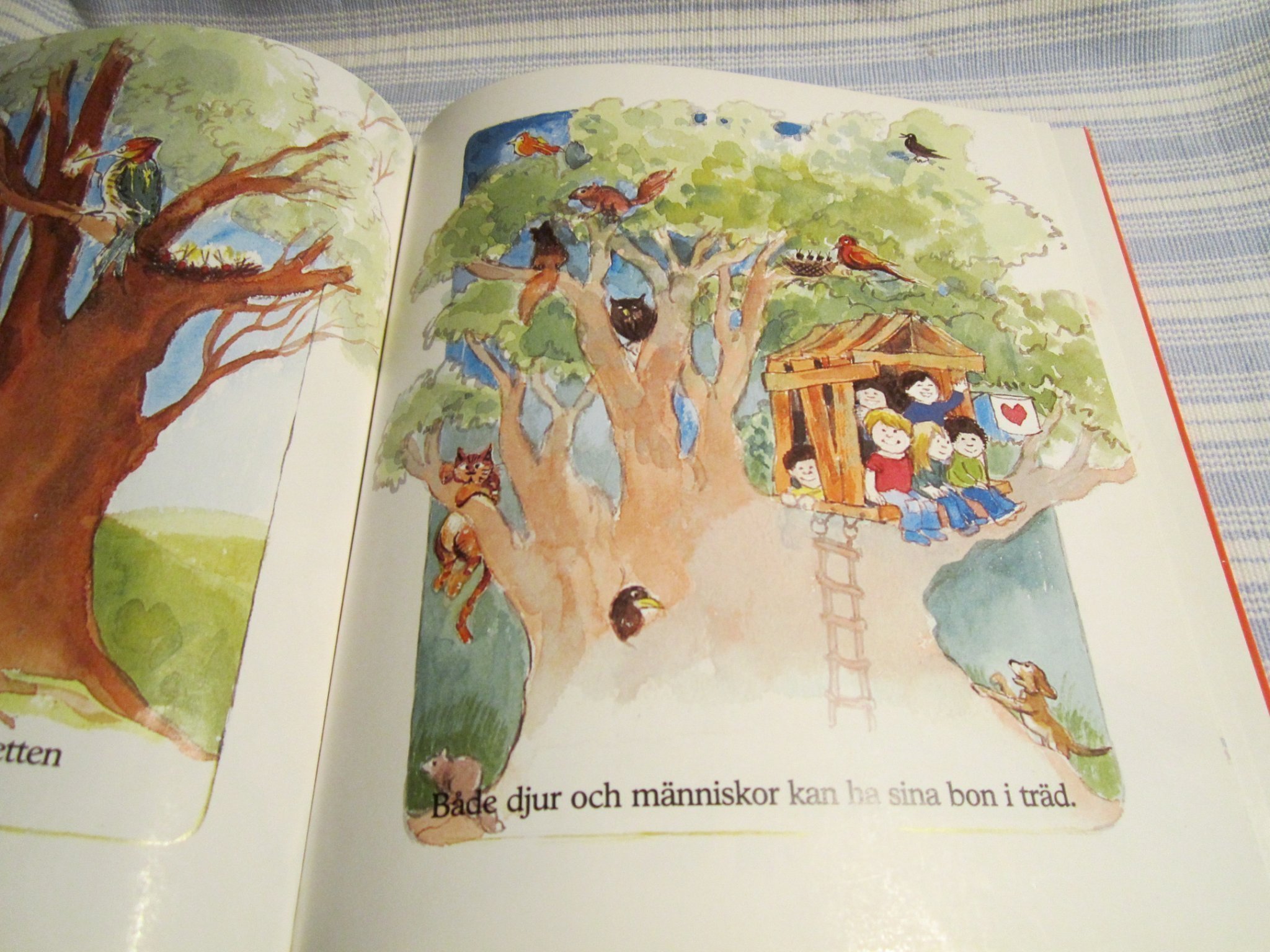 Se produkter som liknar Faktabok En liten bok om träd.. på Tradera ...