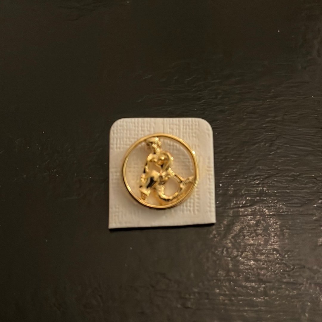 Pins stjärntecken vattumannen | Köp på Tradera (708786359)