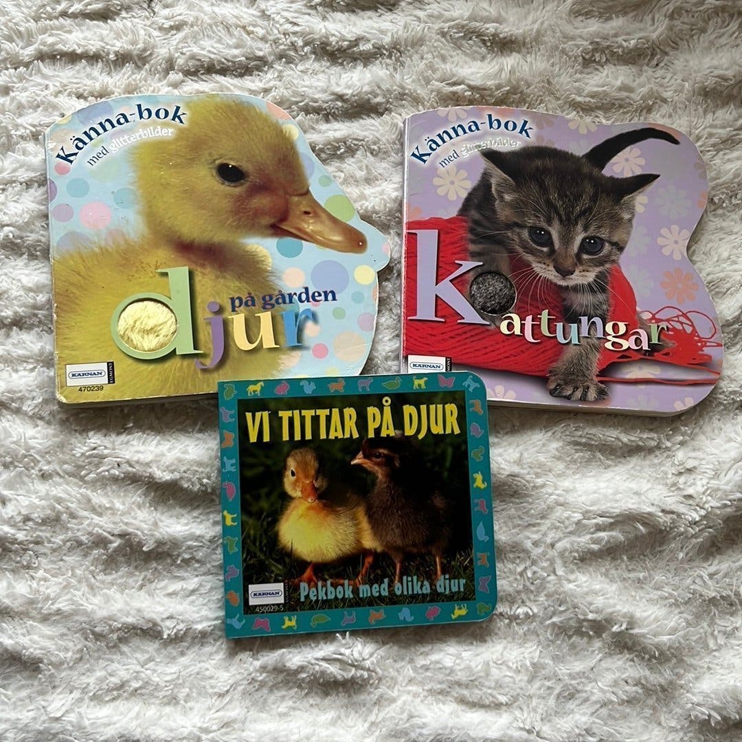 Känna-bok Djur på gården, Kattungar och Vi titt.. | Köp på Tradera ...