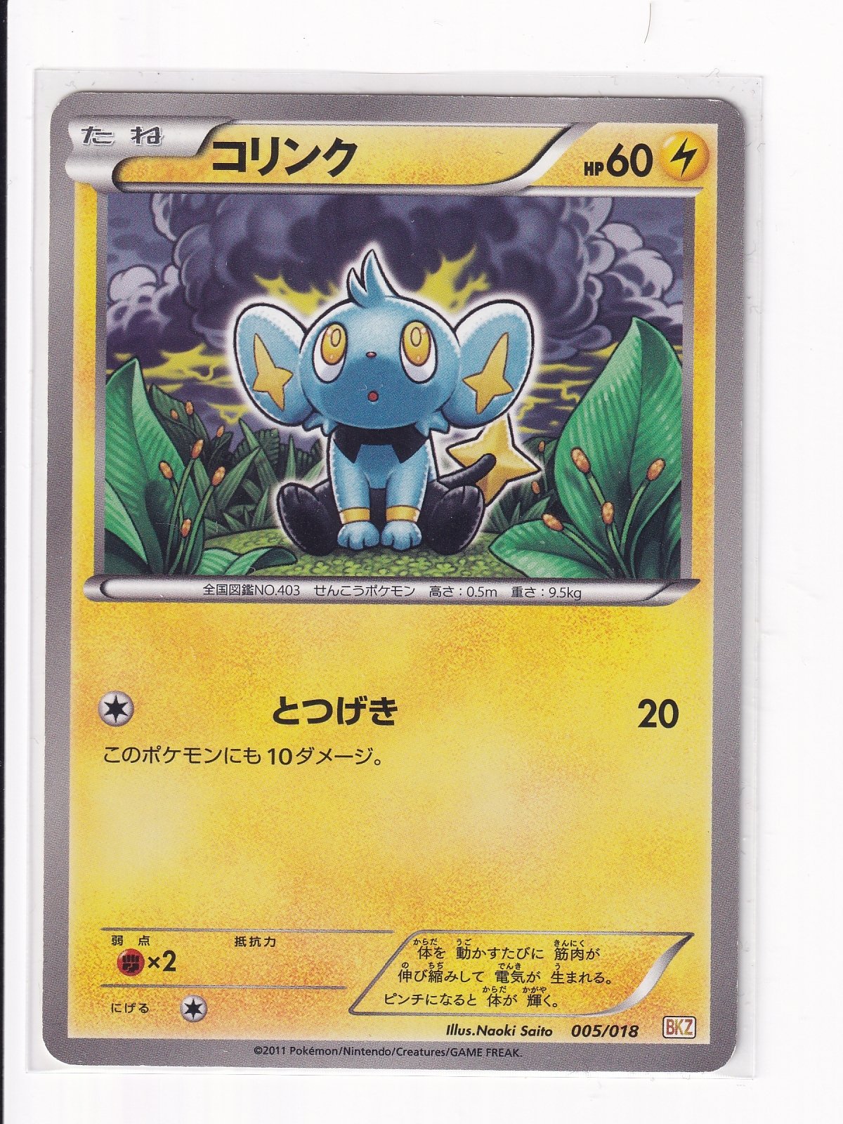Pokémon Shinx - BKZ 005/018 Zekrom EX Battle St.. | Köp på Tradera ...