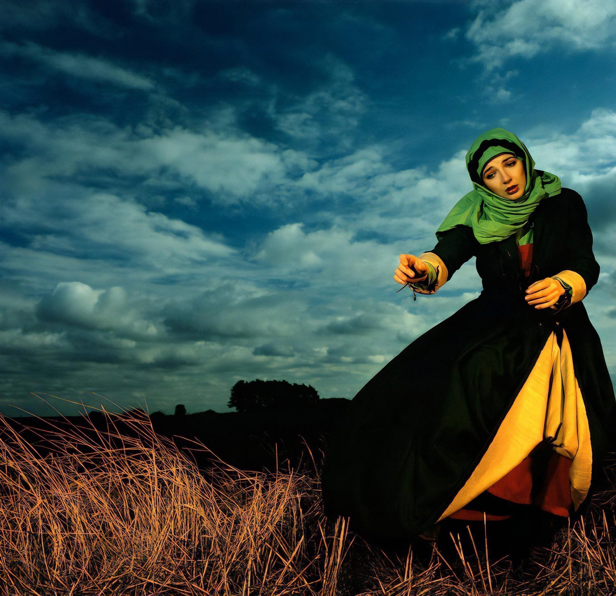 Brian Griffin- A broken frame (Kate Bush 1983) .. | Köp på Tradera ...