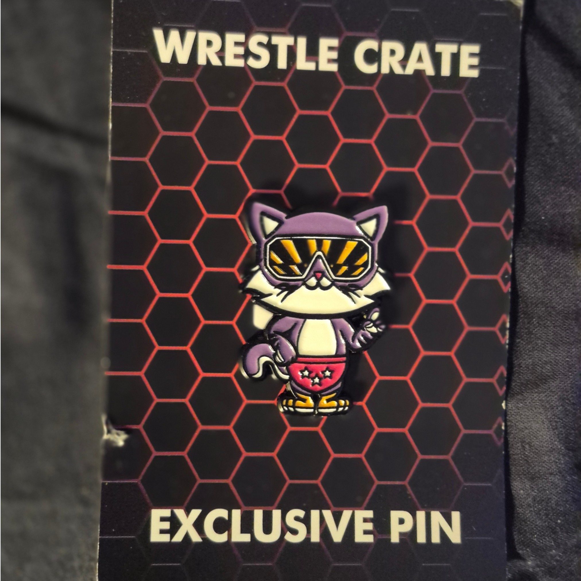 Macho Man Cat Pin, Wrestle Crate UK, Wrestling,.. | Köp på Tradera ...