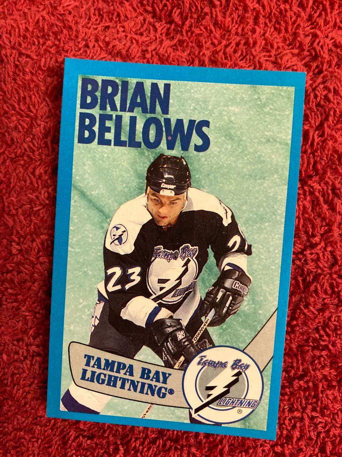 BRIAN BELLOWS - TAMPA BAY LIGHTNING - NHL STICK.. | Köp på Tradera ...
