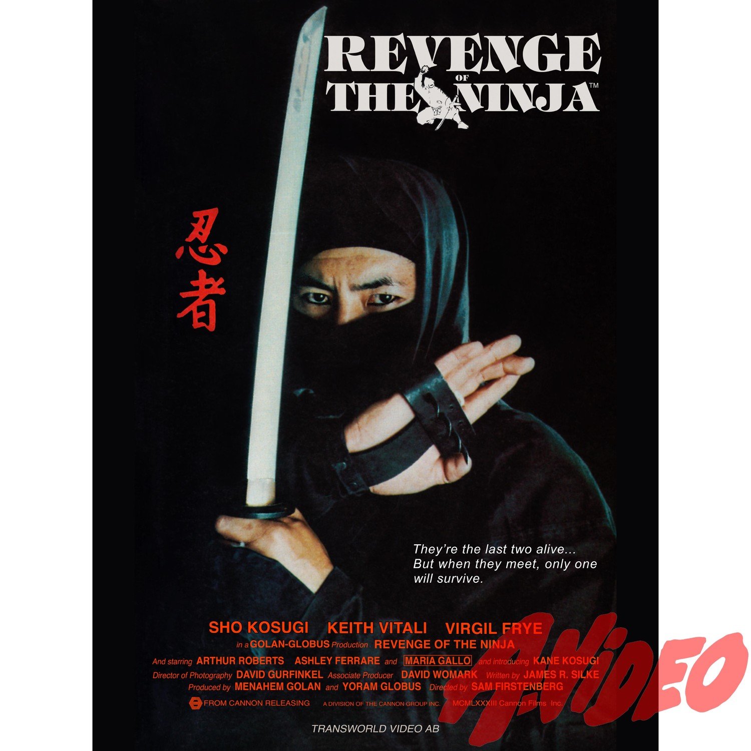 REVENGE OF THE NINJA - VHS-KLASSIKER - DIGI-LIT.. | Köp på Tradera ...