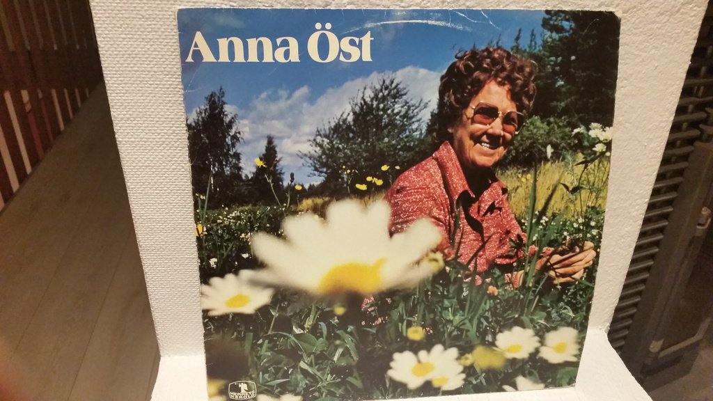 Anna Öst - Anna Öst (1973) | Köp från SävarRecords på Tradera (613701824)