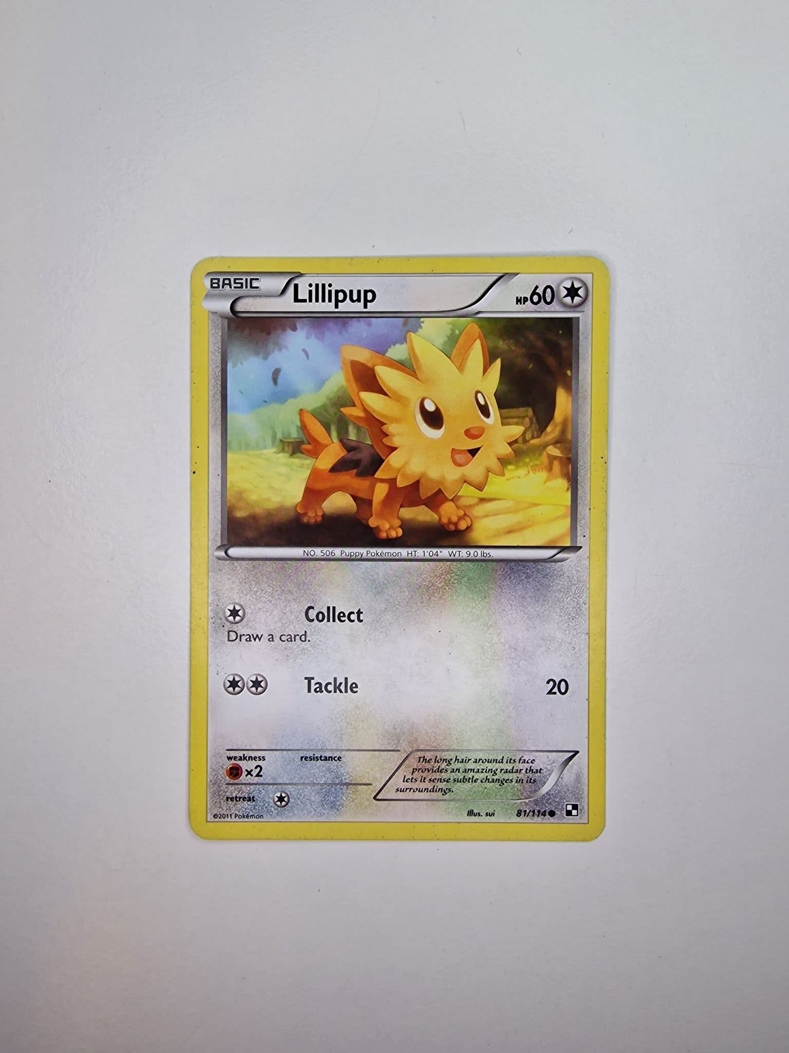 Pokémon Lillipup 81/114 | Köp på Tradera (691870694)