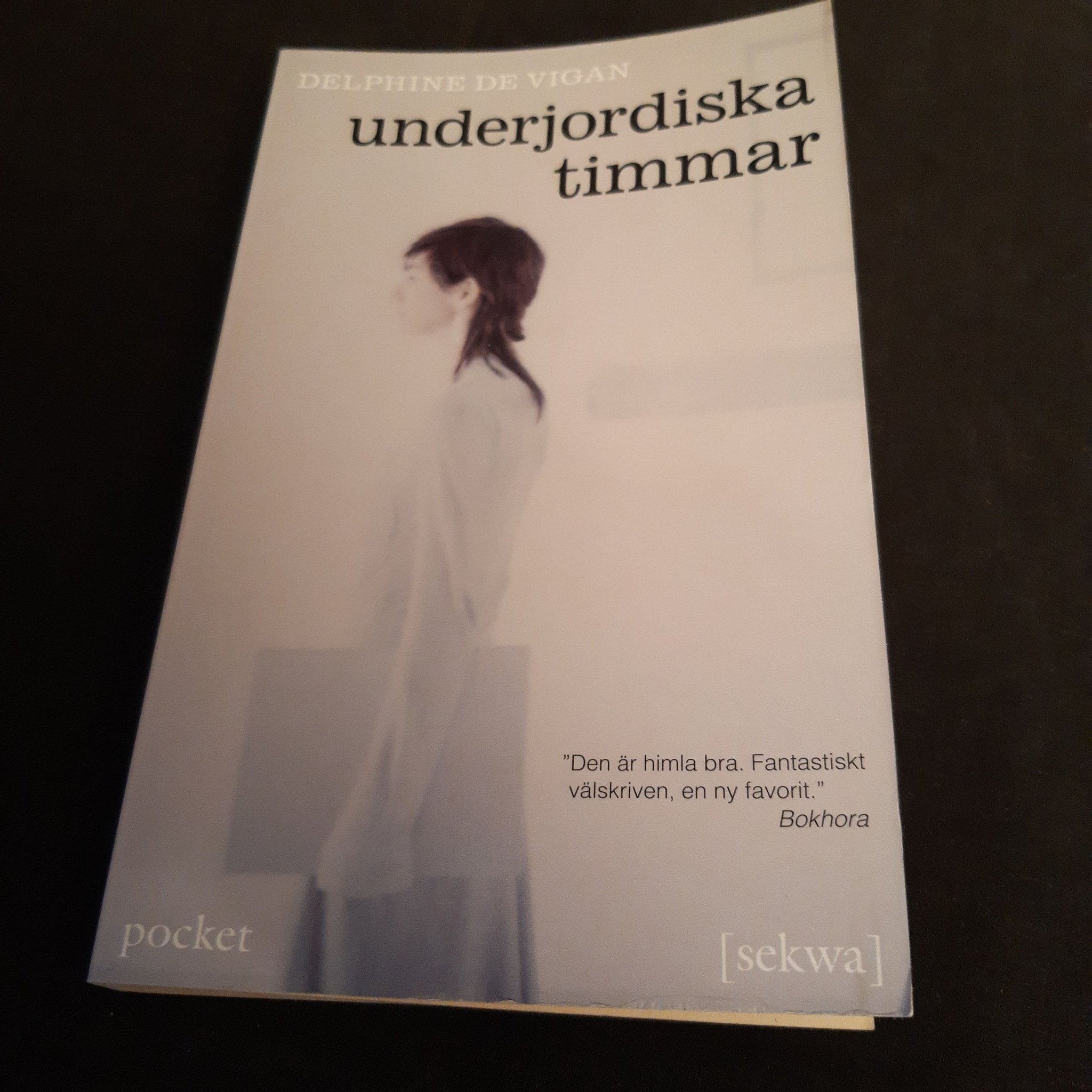 POCKET : Underjordiska timmar Författare: Delph.. | Köp på Tradera ...