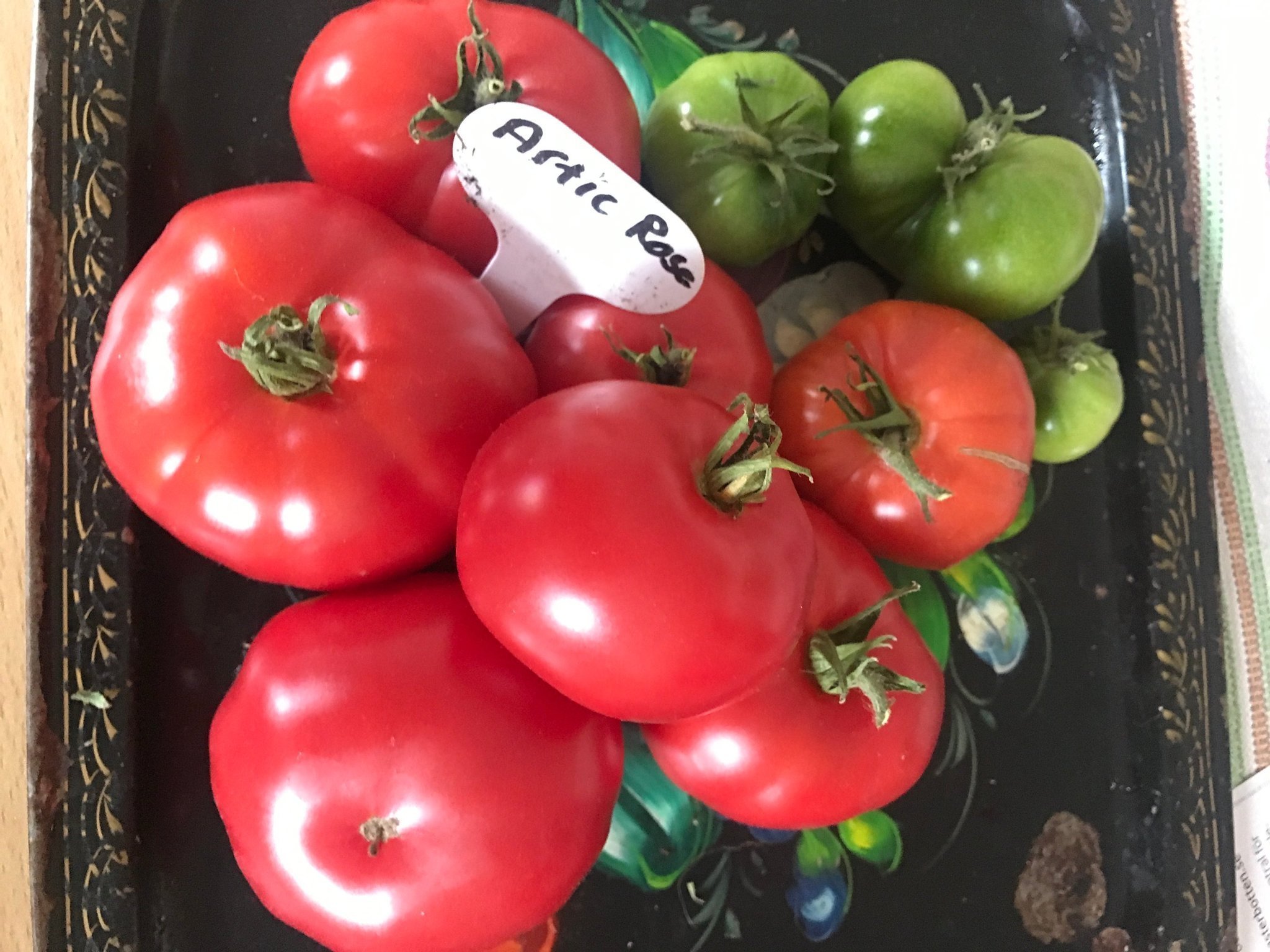 Se produkter som liknar ARTIC ROSE Tidig sort som kla.. på Tradera ...