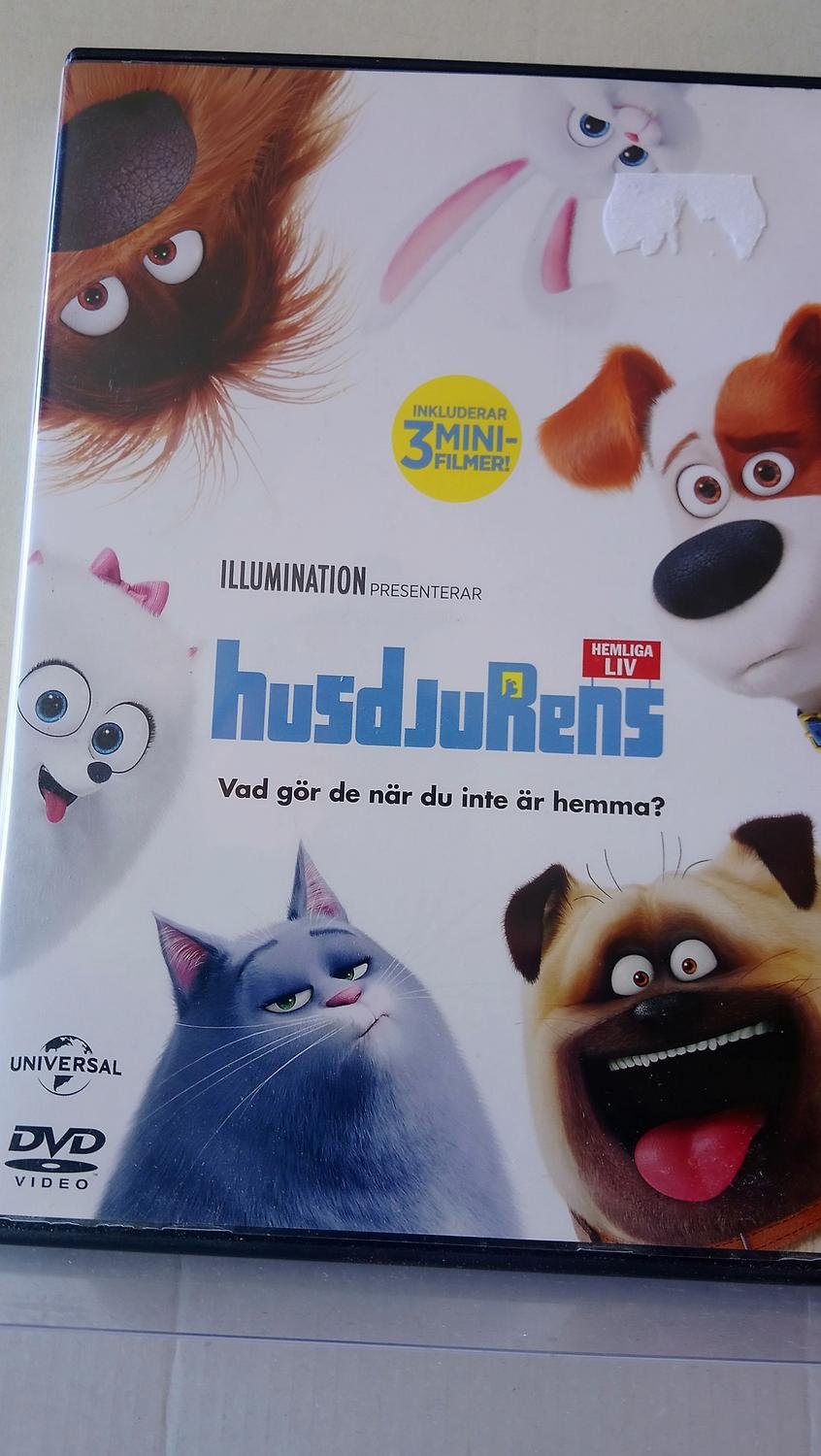 Husdjurens hemliga liv, Dvd | Köp från Nyabananamoon på Tradera (498087042)