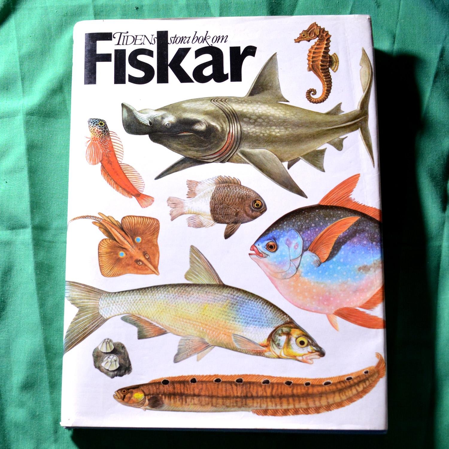 Bok Inbunden Tidens Stora Bok om Fiskar | Köp på Tradera (653146710)