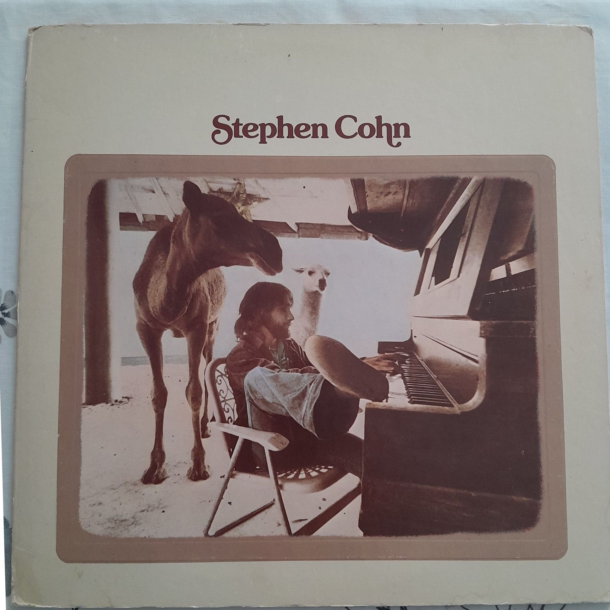 Stephen Cohn - Stephen Cohn (LP) | Köp på Tradera (702325638)