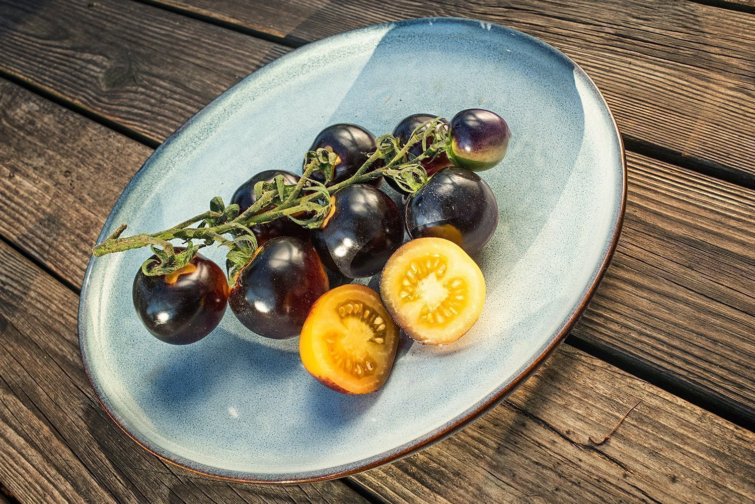 USSURI TIGER - Högväxande svart och gul | Köp på Tradera (708859678)