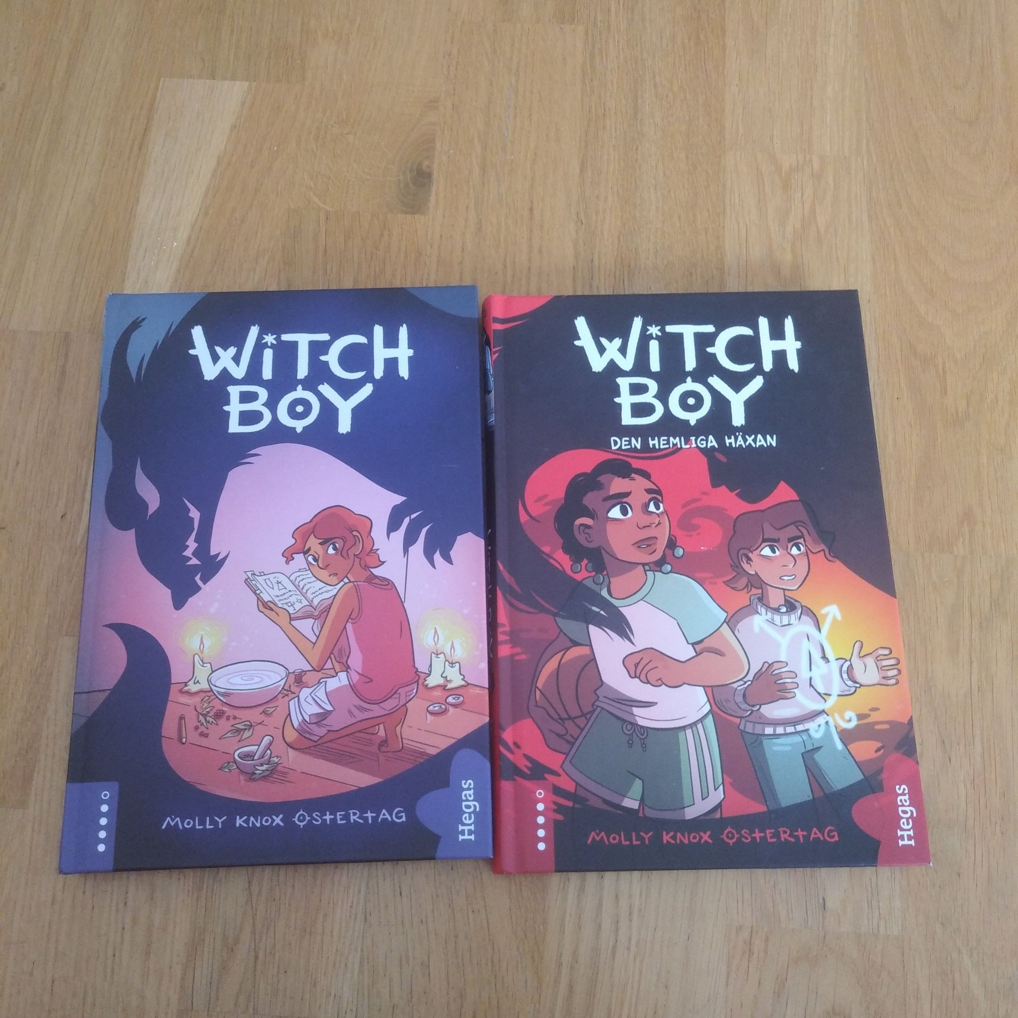 Witch Boy x 2 av Molly Knox Ostertag | Köp på Tradera (708333652)