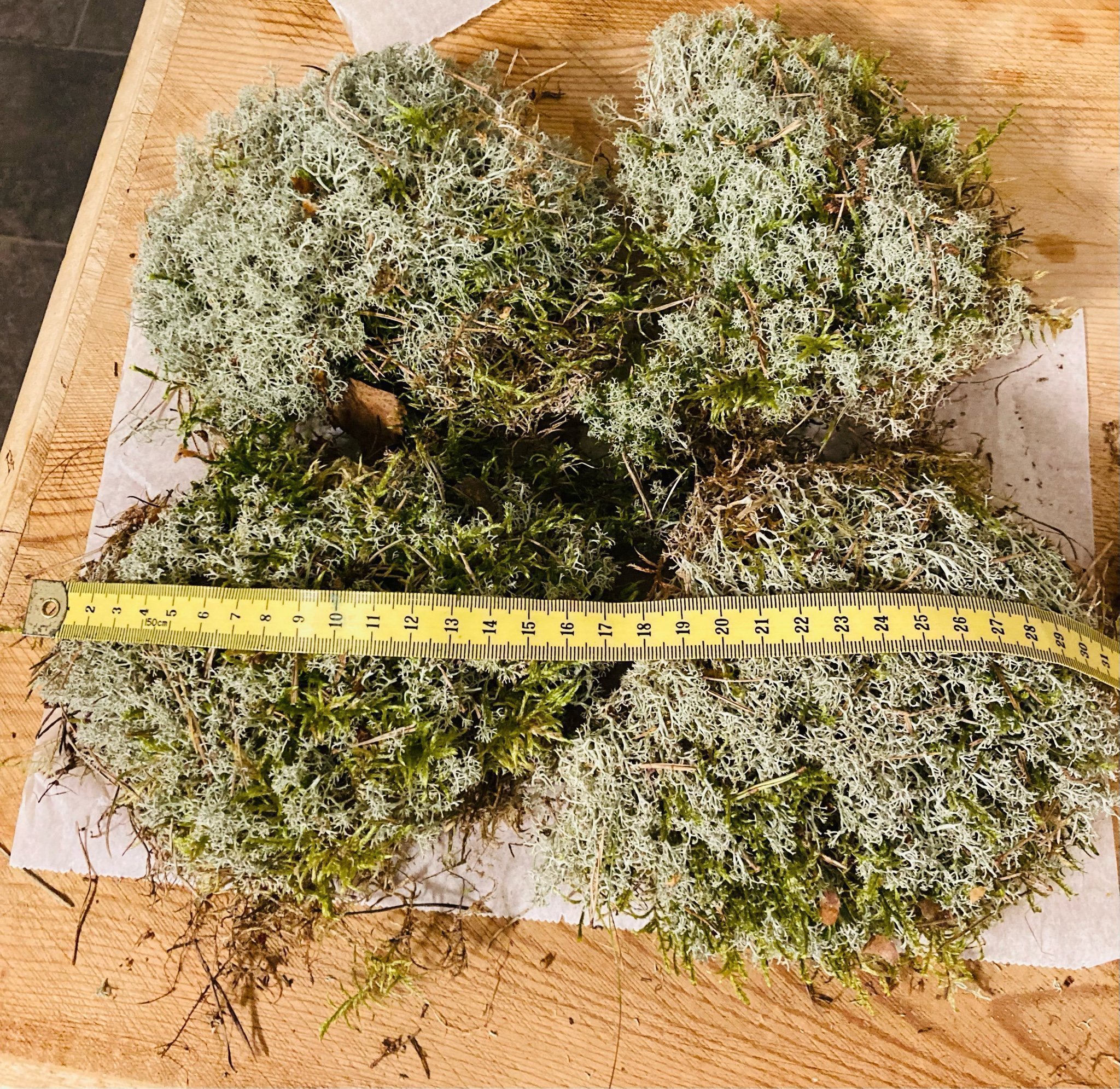 Mossa - deko & arrangemang | Köp på Tradera (629613188)