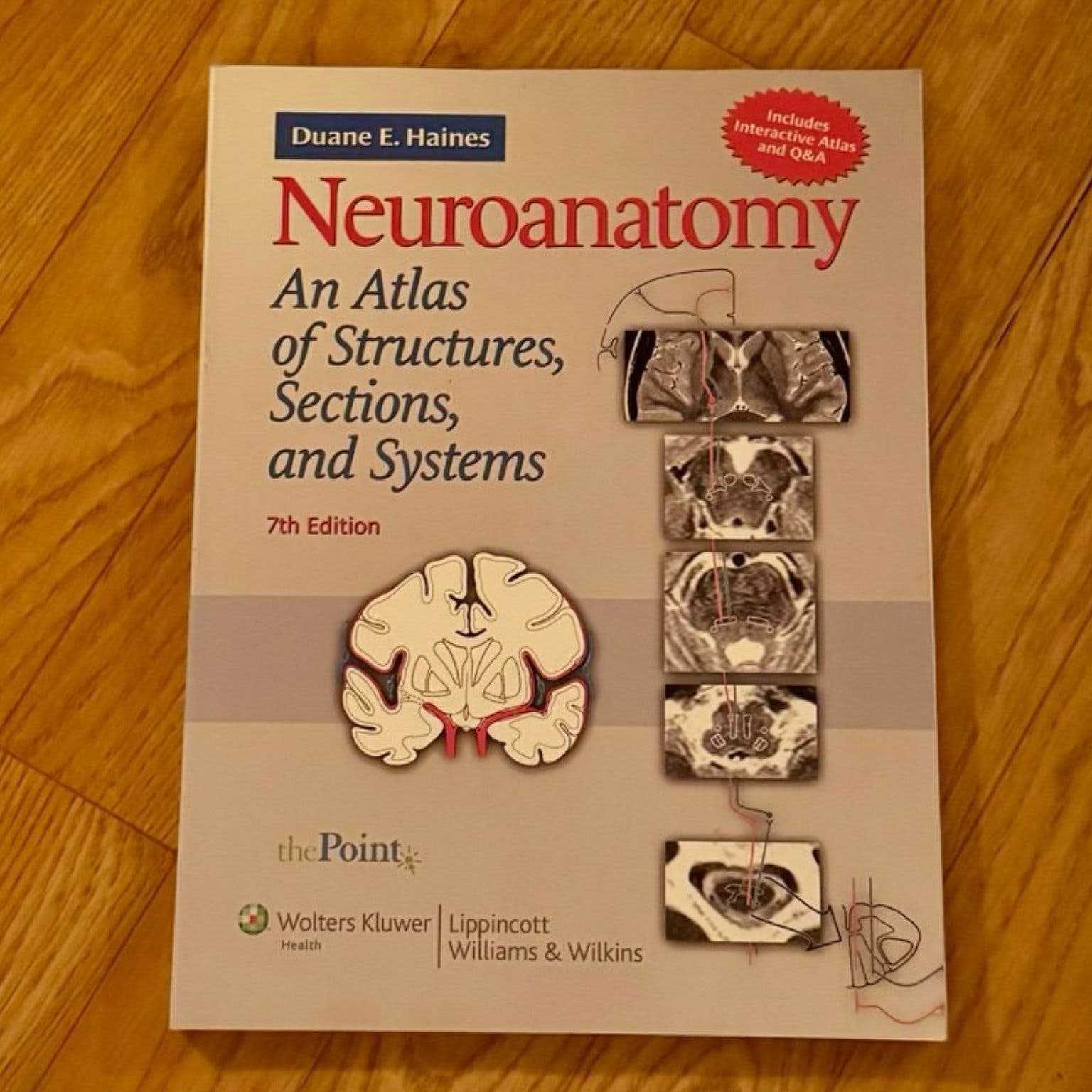 Neuroanatomy: An Atlas of Structures, Sections,.. | Köp på Tradera ...