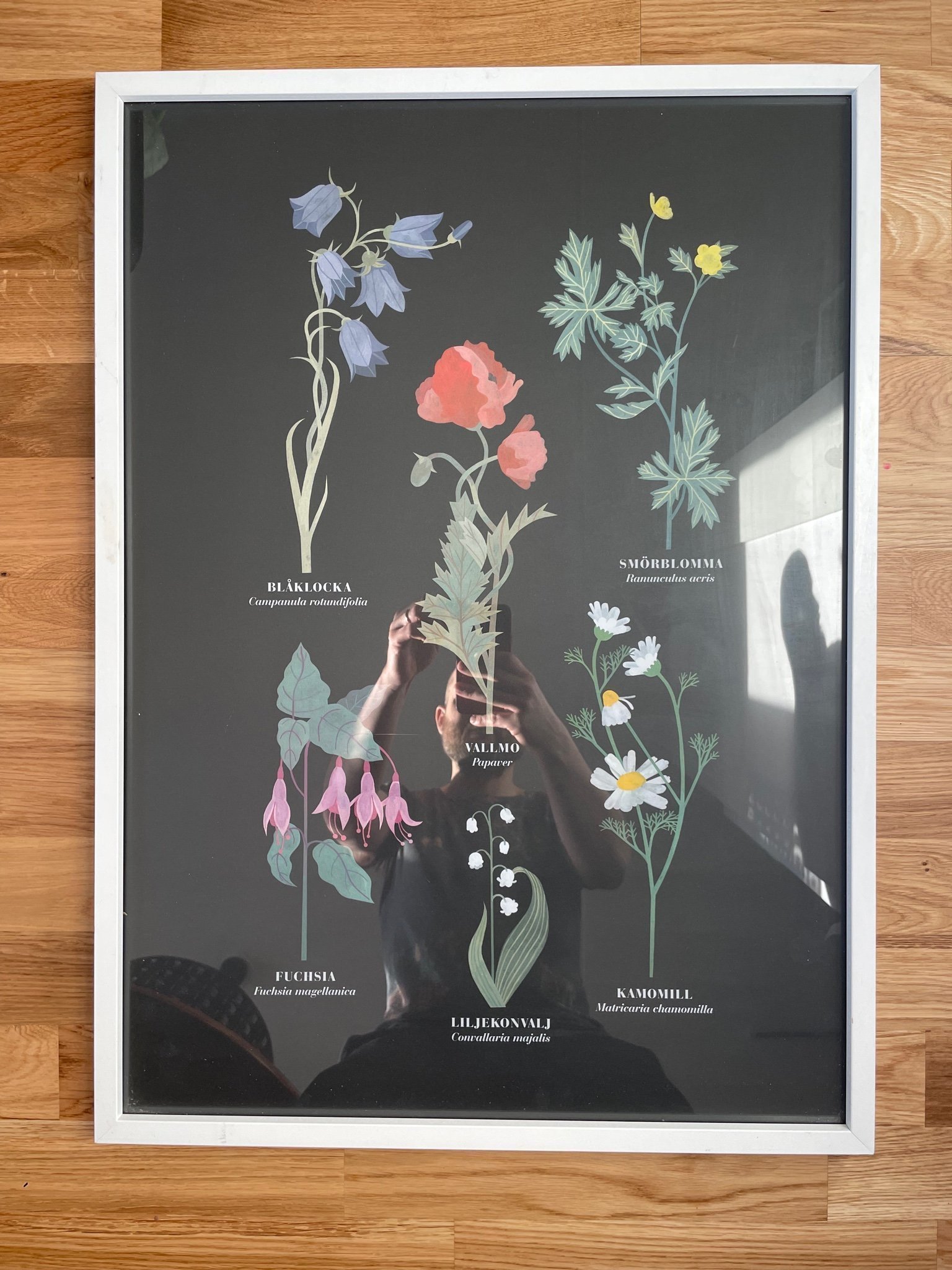 Se produkter som liknar Plansch med bilder på blommor.. på Tradera ...