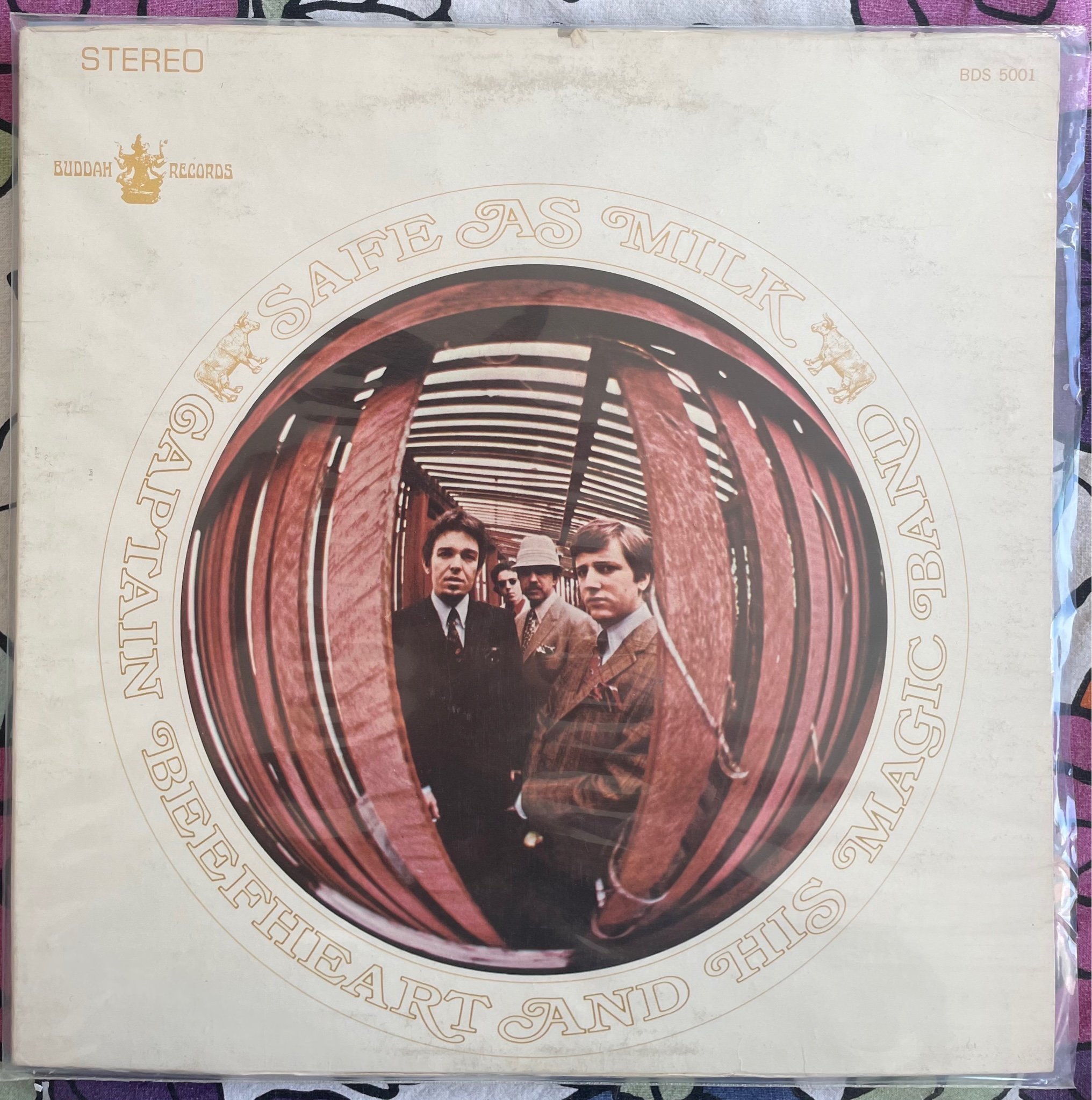 Captain Beefheart And His Magic Band - Safe As .. | Köp på Tradera ...