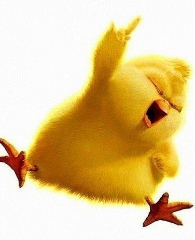 3 Roliga Påsk Skyltar Kyckling Bilder Påskkyckling Gul Godis Humor