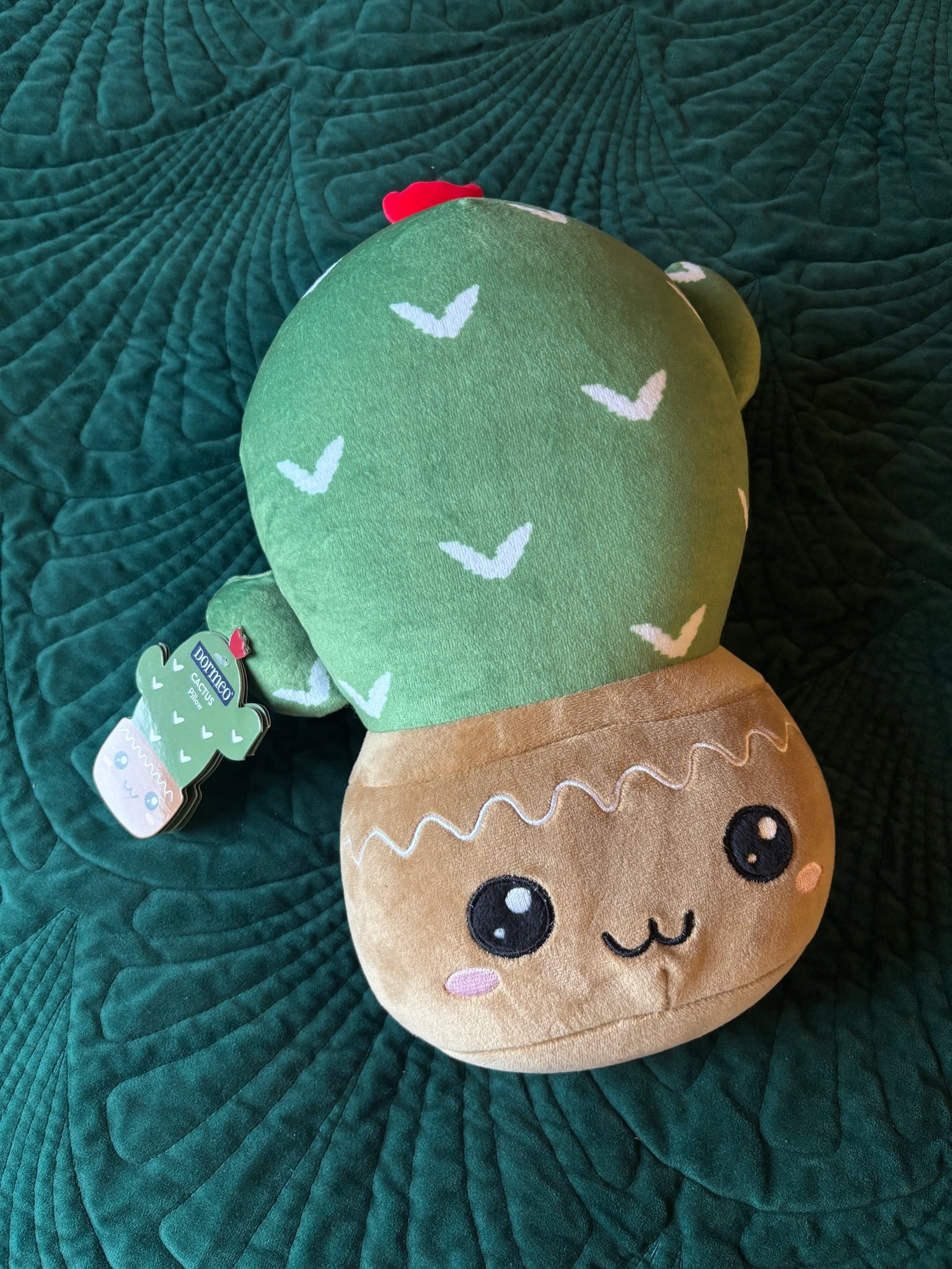 Från 1kr! Ny Dormeo Cactus Pillow - 2 i 1 Kudde.. | Köp på Tradera (698734339)