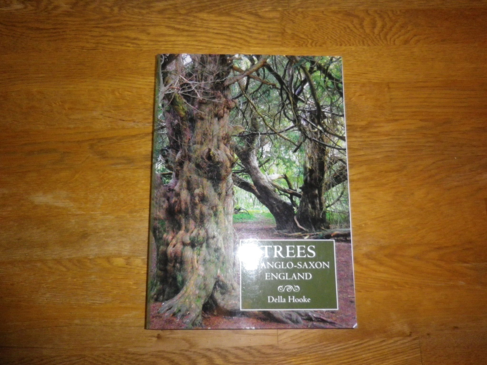 Trees in Anglo-Saxon England - Della Hooke | Köp på Tradera (688194242)