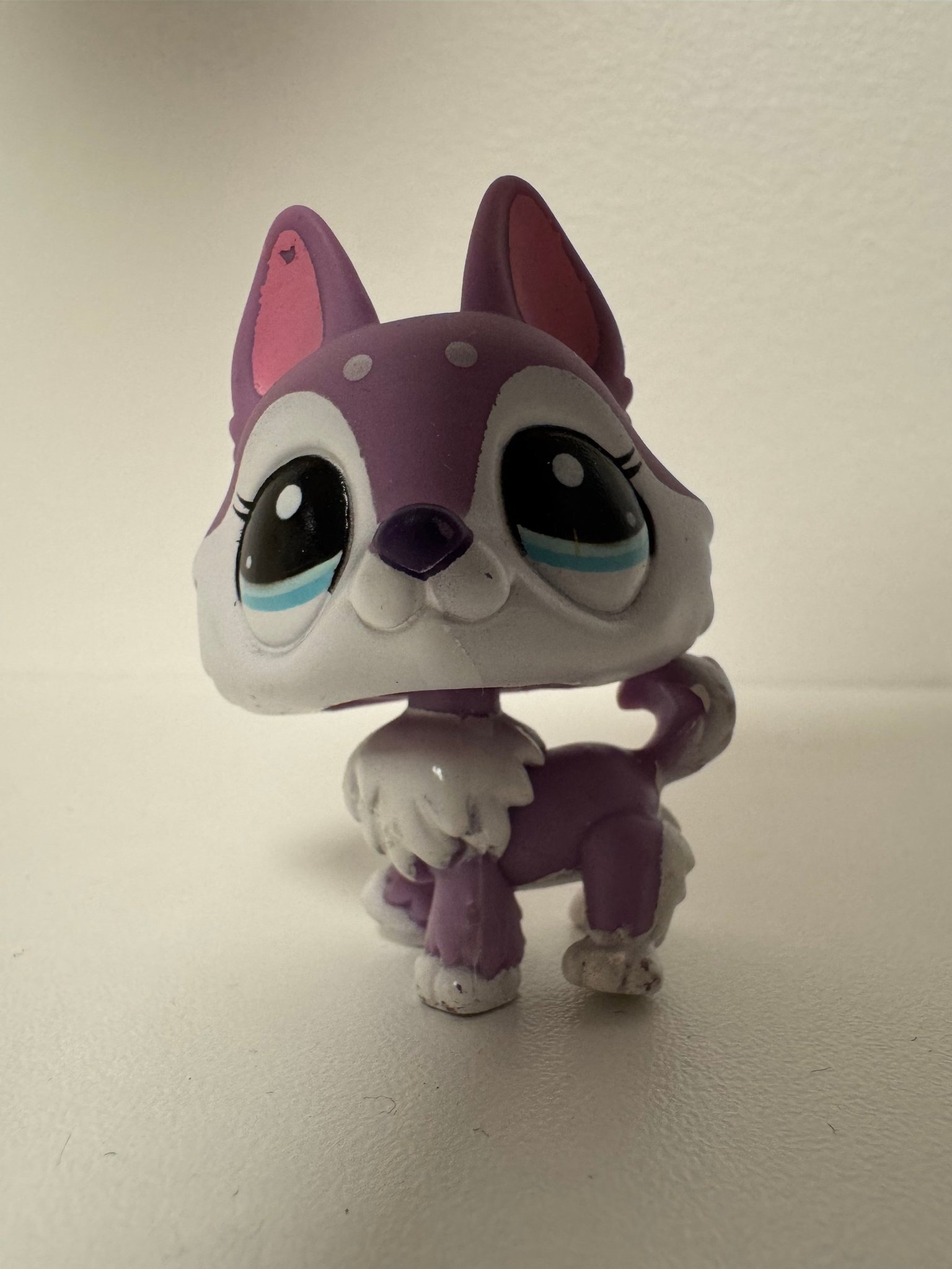 LPS Littlest Pet Husky # 210 | Köp på Tradera (734769150)
