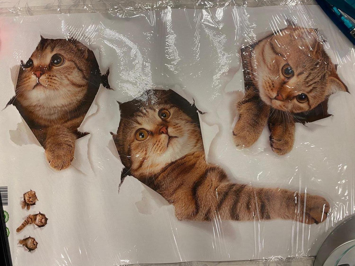 3D Katt Sticker / Väggklistermärken | Köp på Tradera (662016353)