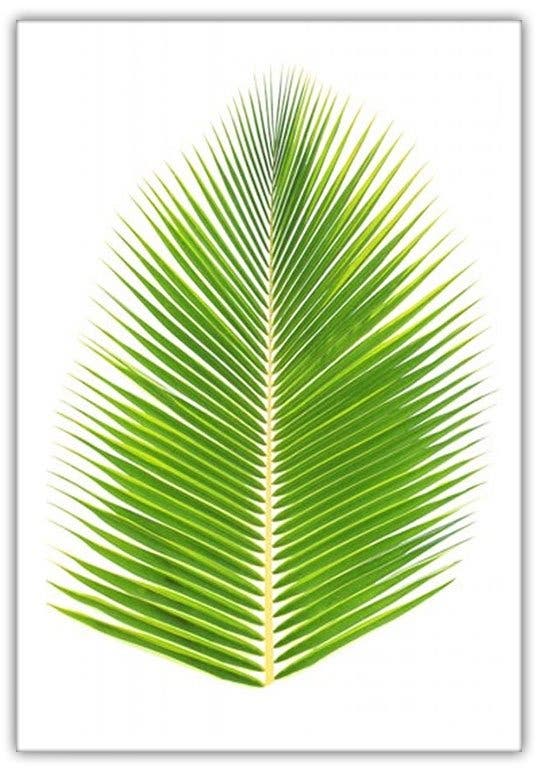 Se produkter som liknar Palmblad poster 50x70cm på Tradera (683874788)