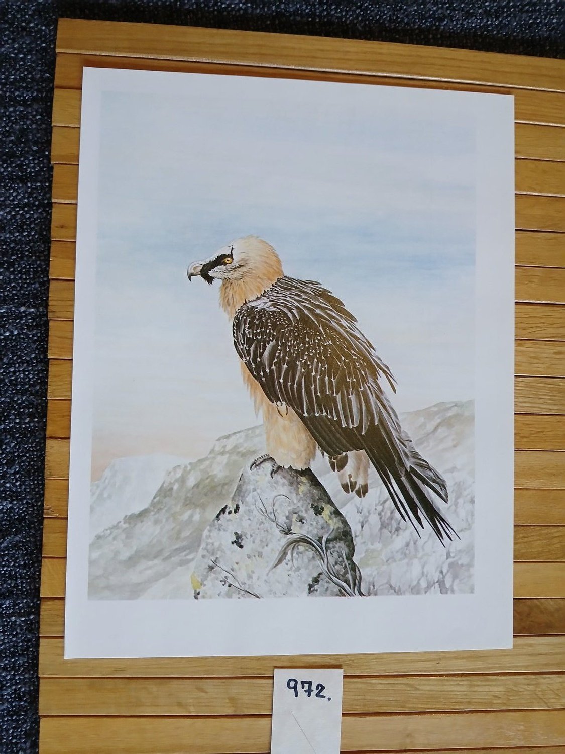 Se produkter som liknar Äldre Fågel Plansch Lammgam G.. på Tradera ...