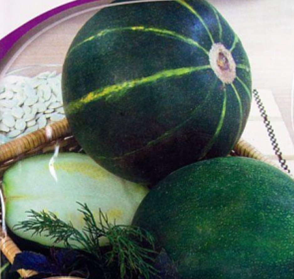 Rund mörk Squash "NATT i PIACENZA" 5 frön | Köp på Tradera (685723219)